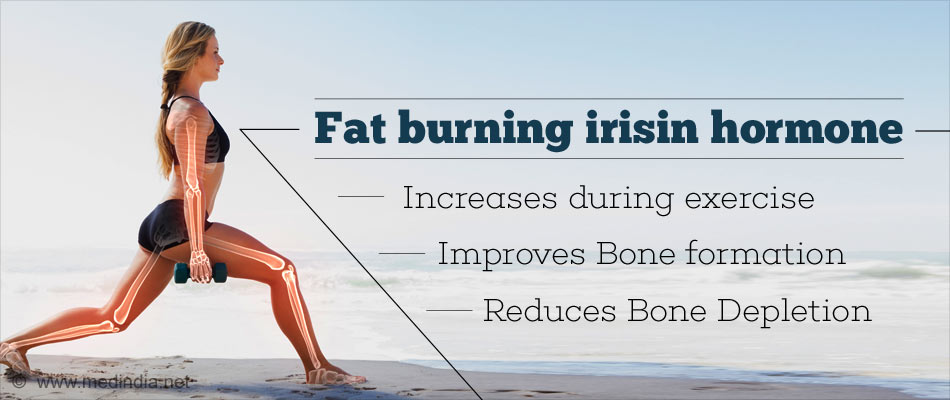 Exercise Helps Release Hormones That Improve Bone Strength